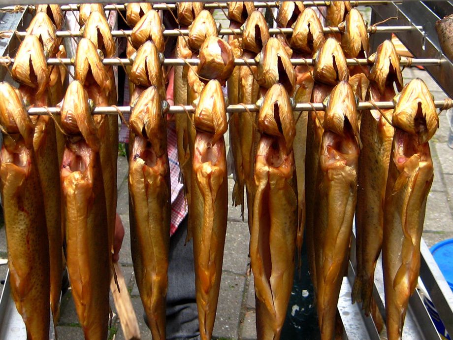 25 September: Vis roken | c.k.v. Unitas / Perspectief